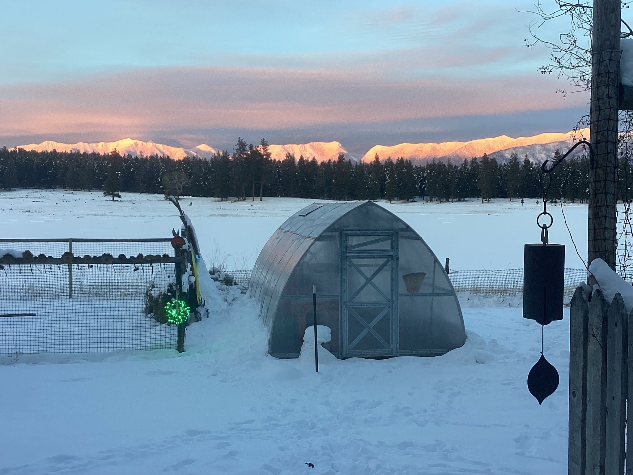 What Planting Zone Am I In? Understanding Zones for a Thriving Greenho