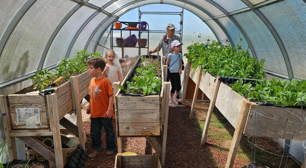 STEM Greenhouse Program: How Schools Are Growing Future Innovators