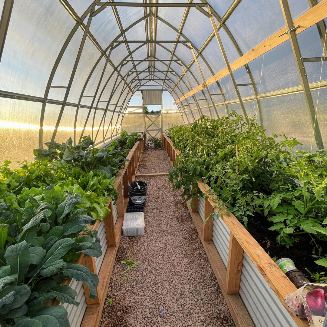 Grow More, Grow Better: A Gardener’s Guide to Greenhouse Extensions