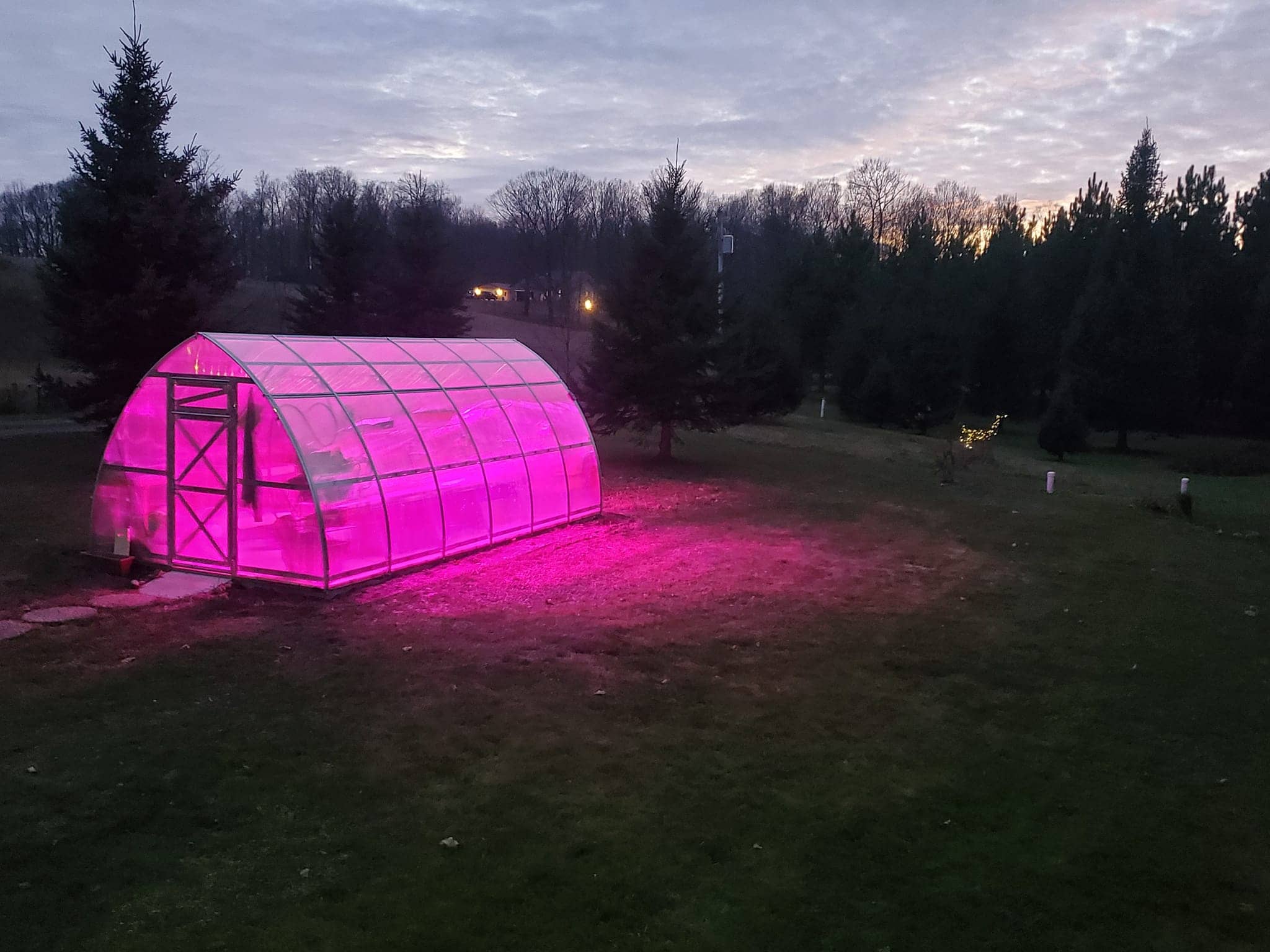 Comparing LED and Traditional Grow Lights for Your Greenhouse