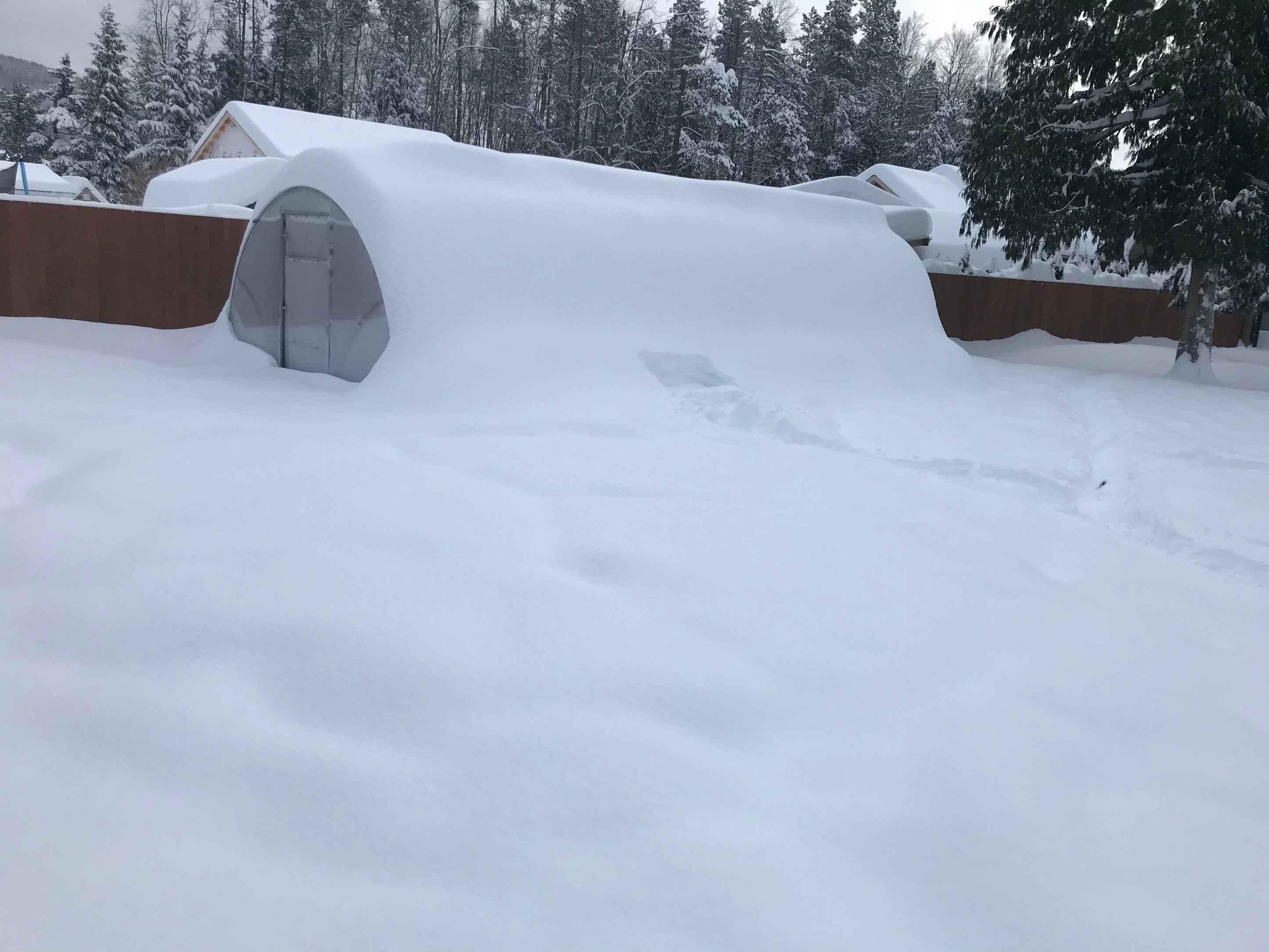 Sigma 26 Backyard Greenhouse Kits for Sale - Heavy Duty Greenhouses