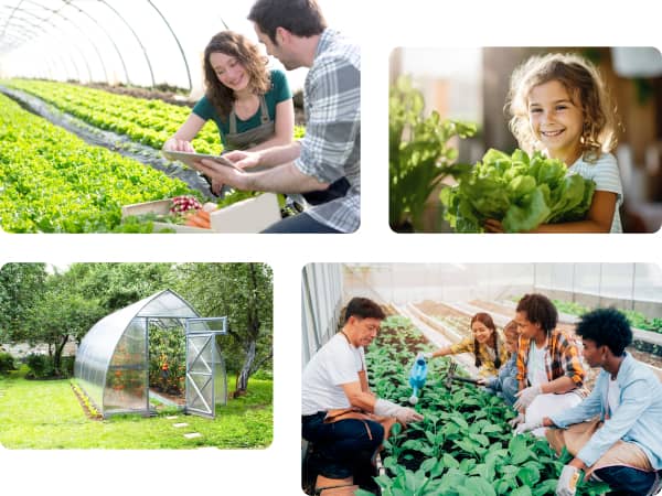 Greenhouses for Schools & Universities