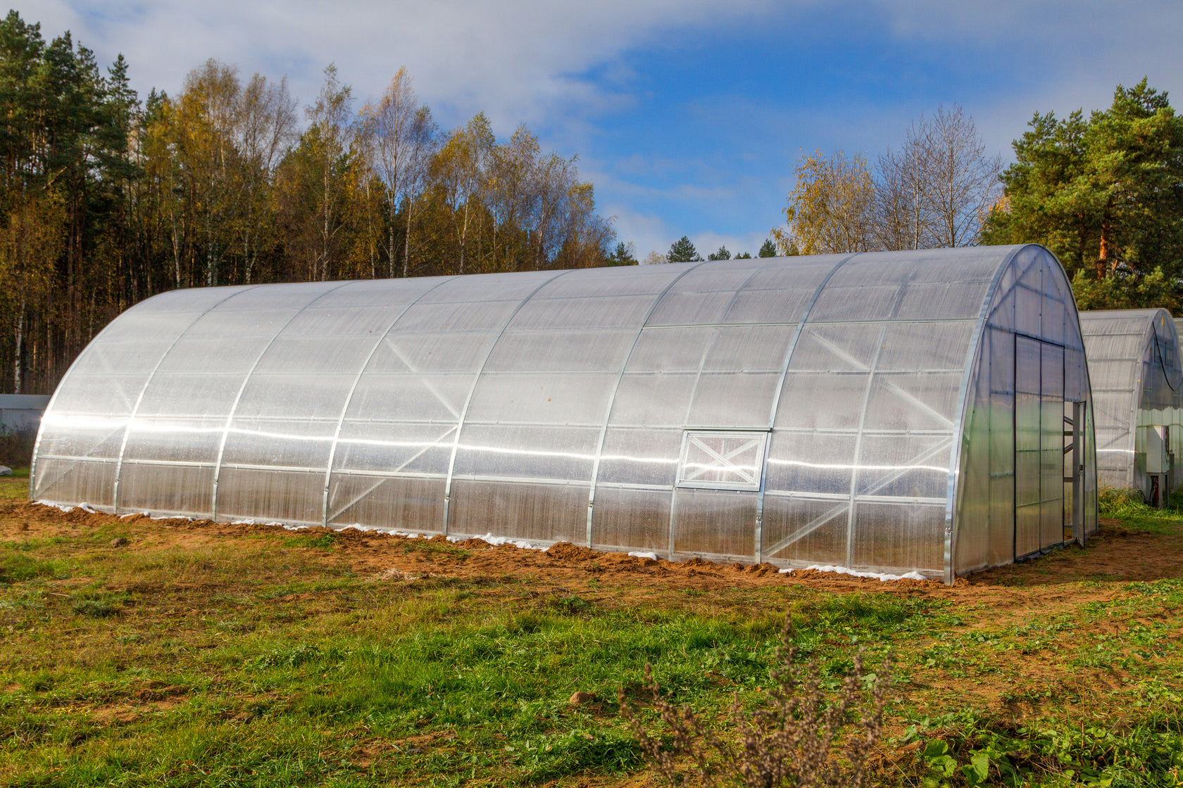 Farmer "Alpine" 50- Commercial Greenhouse, Heavy Duty, 10 year warranty